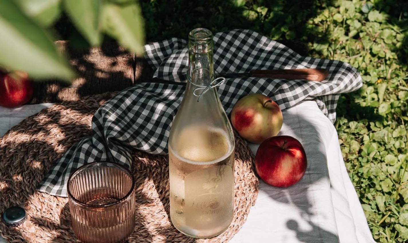 Vergers gourmands où aller cueillir des pommes - Tastet